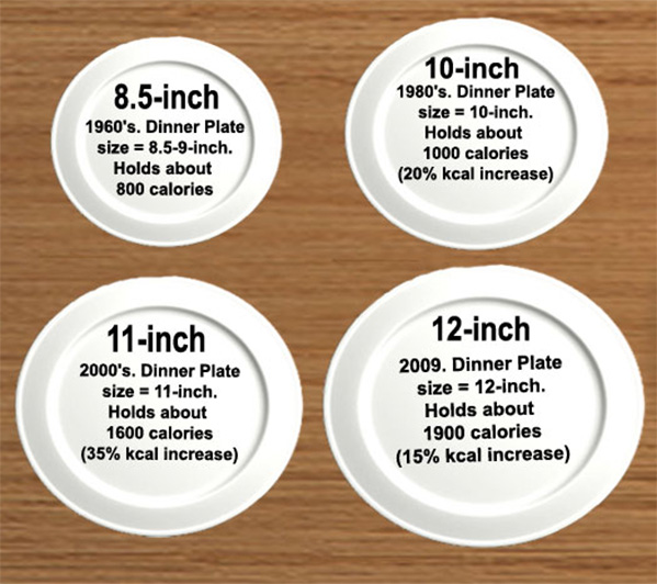 Holiday Series Plate Size Matters Family Nutrition Center Holiday Series Plate Size Matters Family Nutrition Center